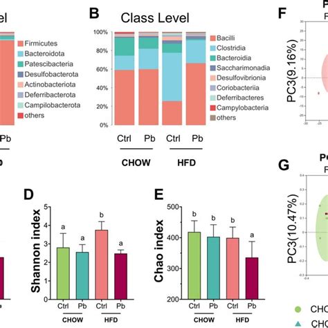 The Results Of 16s Rdna Sequencing N 5 A And B Gut Microbiota Download Scientific Diagram