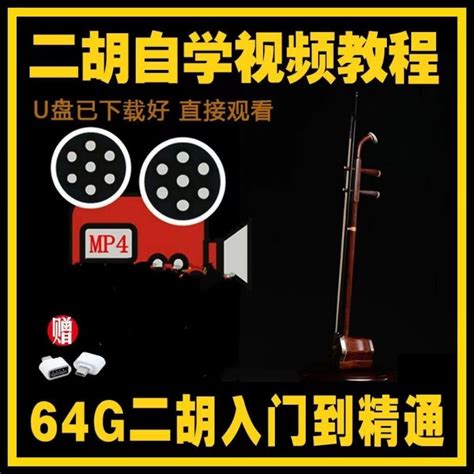 促銷and2024年台灣熱賣二胡入門自學全套教程隨身碟64—g初學者入門教材資料名師課程教學隨身碟163 蝦皮購物