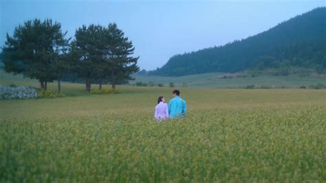 „when Life Gives You Tangerines“ Feiert An Diesem Tag Premiere Wo Kann