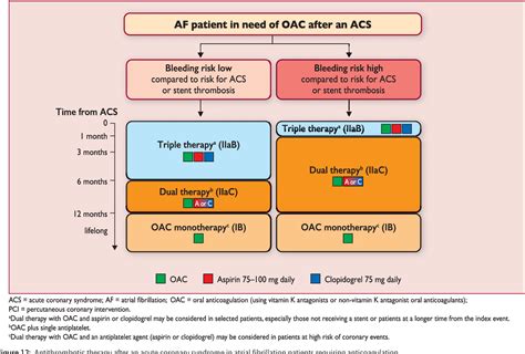 Figure 12 From 2016 Esc Guidelines For The Management Of Atrial