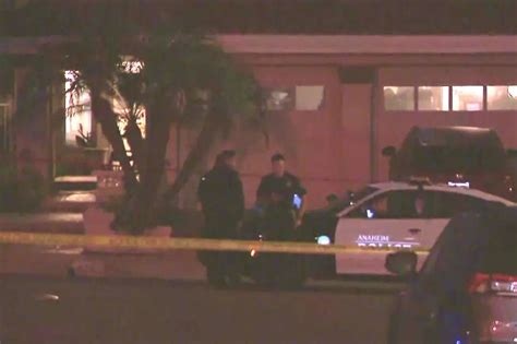 A Judge Has Been Apprehended Under Suspicion Of Murder Following The