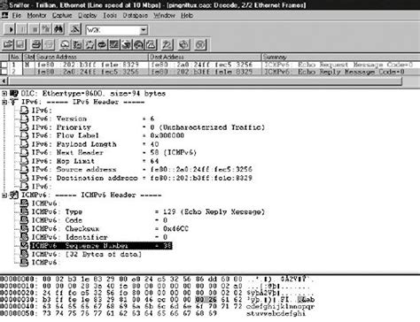 Section 45 The Icmpv6 Header In A Trace File Ipv6 Essentials