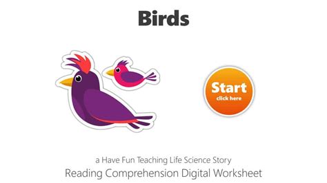 Birds Reading Comprehension Digital Worksheet By Teach Simple