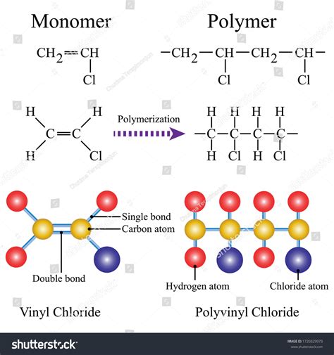 Monomer