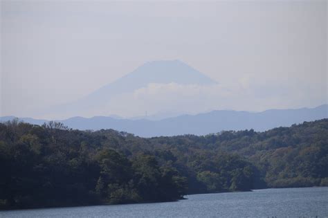 今日の狭山湖 7 殿下のブログ