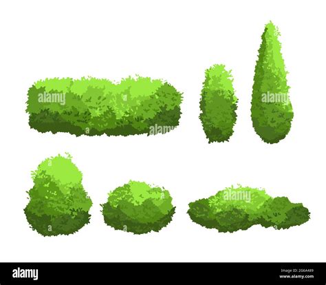 Vector Illustration Set Of Garden Green Bushes And Decorative Trees