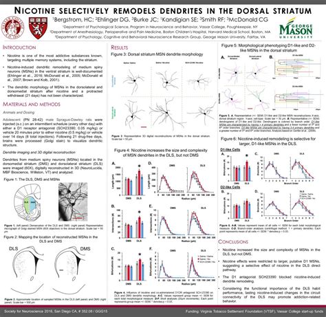 Posters Memory Neuroscience At Vassar College