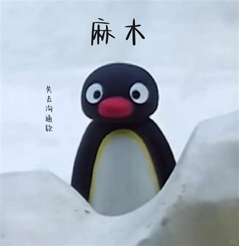 企鹅头像及表情包