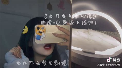 【白月光与朱砂痣】铃声— 胖虎 Youtube