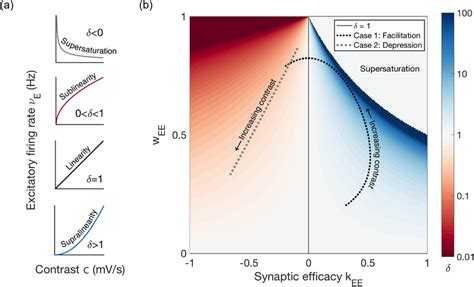 Plastic E → E Synapses Control The Susceptibility To Input Contrast δ