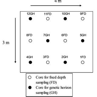 Example Of A Core Showing The Increments For Sampling By Genetic Download Scientific Diagram