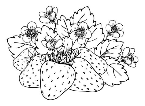 Más De 40 Páginas Para Colorear De Fresas Pdf Imprimible Gratis Y Para