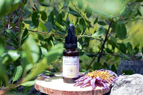 Blue Lotus Tincture Pure Egyptian Blue Water Lily Nymphaea Caerulea