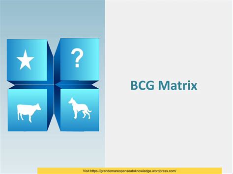 Pdf Bcg Matrix Matrix Application Bcg Matrix