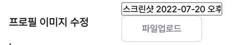 [에러핸들링] input file value 에러