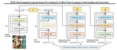 Transformer Based Encoder Decoder Models For Image Captioning On Amd