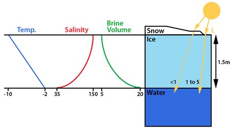 1 Gradients Of Temperature • C Salinity Ppt Brine Volume Of