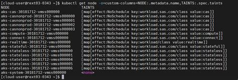 Creating Custom Sas Viya Topologies Realizing The Workload Placement Plan