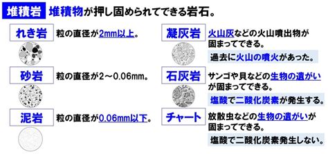 中1理科堆積岩と火成岩岩石の分類のポイント