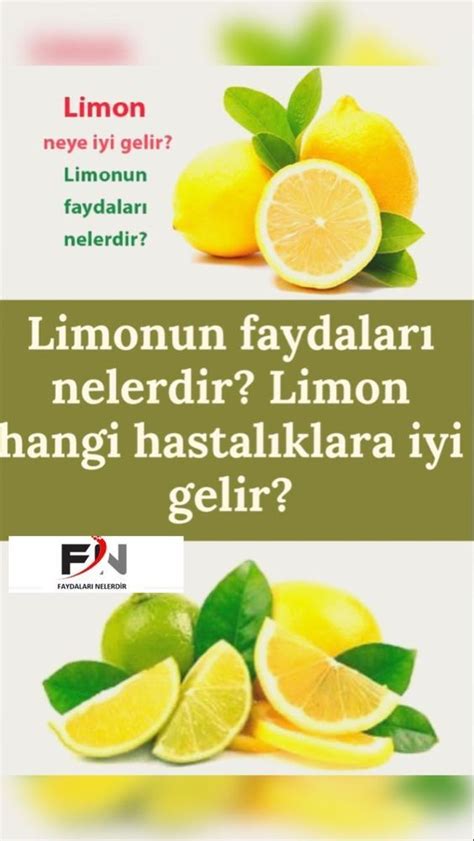 Benefits Of Lemon Water In The Morning Everything Is Here Lemon