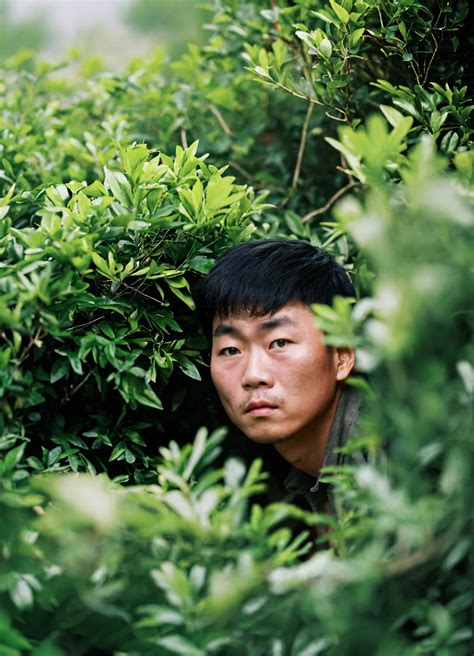 Lexica Chinese Guy Hide In A Bush