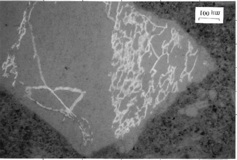 Thin Section Micrograph Showing Dissolution Structures In Subgrained