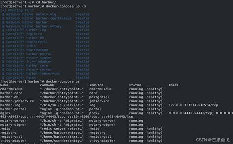 Docker 三剑客之三：docker Swarmdocker Swarm Csdn博客