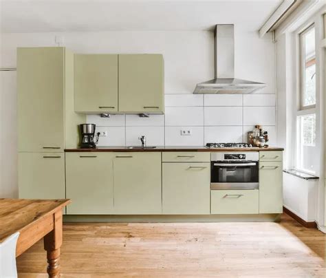 Benjamin Moore Dune Grass 492 31 Real Pictures