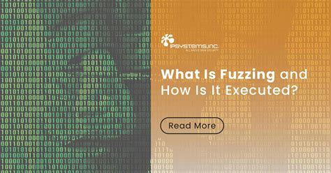 What is Fuzzing? | IPSYSTEMS, Inc.