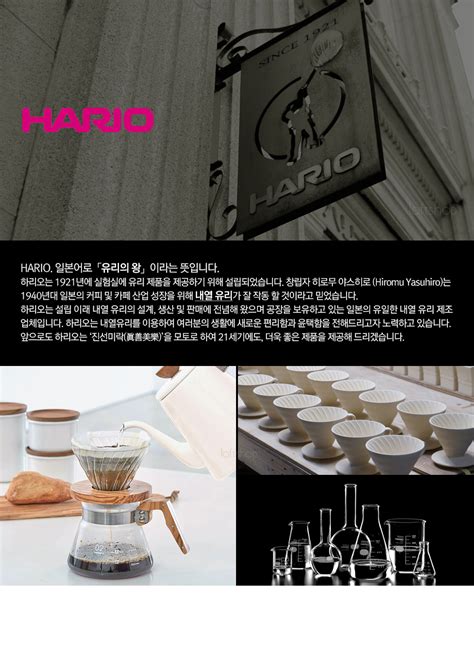 하리오 V60 도자기 드리퍼 02 화이트 Vdc 02whario