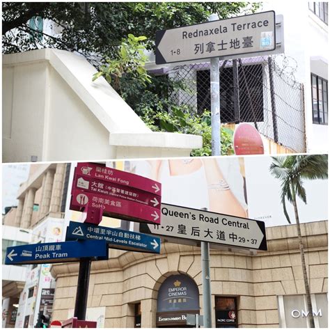 蛇年｜香港有趣的蛇文化 什么是“蛇王”、“放蛇”？ 飞凡香港 乐活湾区 当代中国