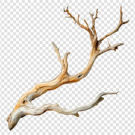 Twig Templates Free Free Printables Hub