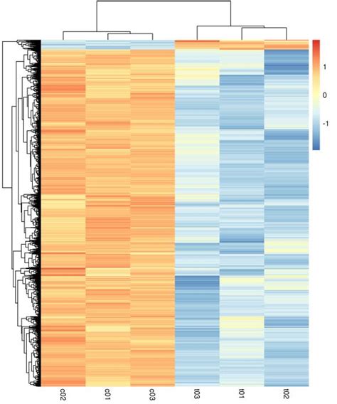 Perform Bioinformatics Analysis For Your Research By Bioprogramming Fiverr