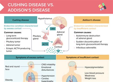 Addison S Disease Nursing Addison S Disease Symptoms