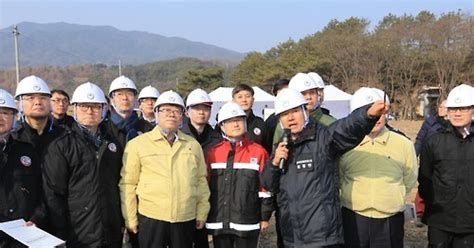 소나무 재선충병 방제현장 찾은 이동필 장관