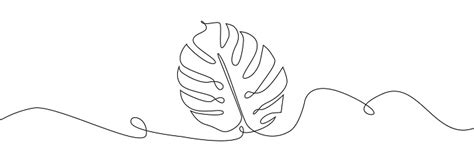 몬스테라 리프 라인 아트 열대 잎 한 줄 그리기 열대 몬스테라 잎의 연속 선 그리기 단 하나 1개의 선 잎 몬스테라 개요 스케치 0명에 대한 스톡 벡터 아트 및 기타 이미지