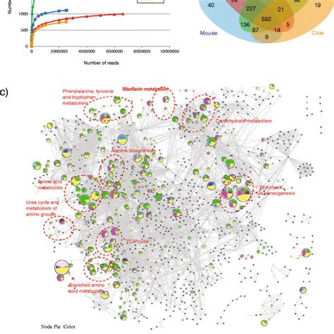 Taxonomic Composition Of Five Metatranscriptomic Datasets A Abundance