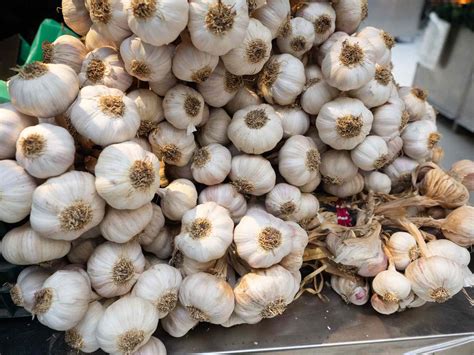 10 Amazing Health Benefits Of Garlic