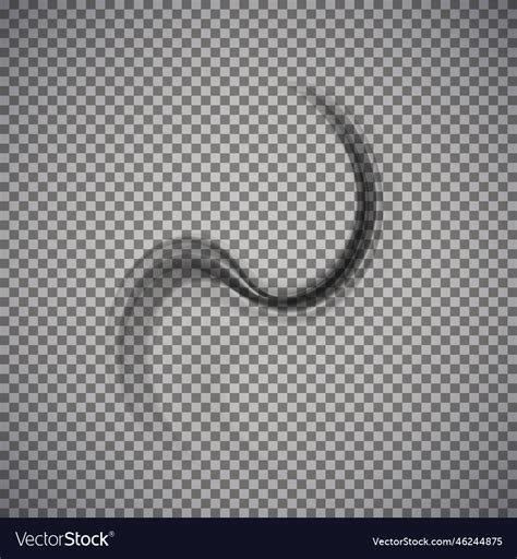 Abstract Swirl Shape Royalty Free Vector Image