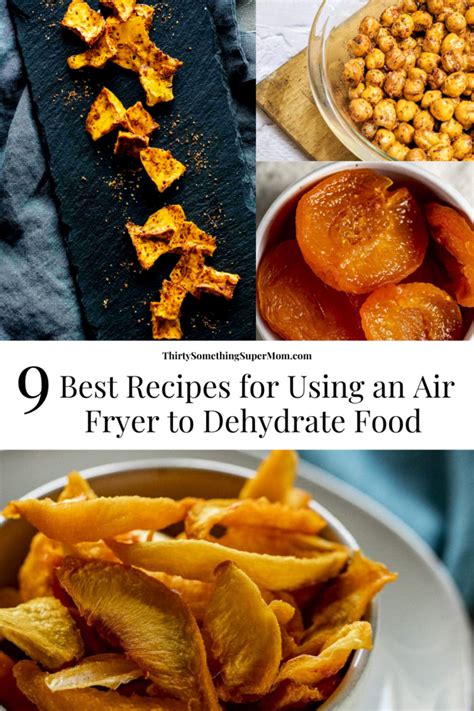 How To Use An Air Fryer As A Dehydrator And 9 Best Recipes