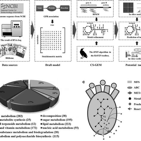 Basic Properties Of The Ipd1512 Genome Scale Metabolic Model Download Scientific Diagram
