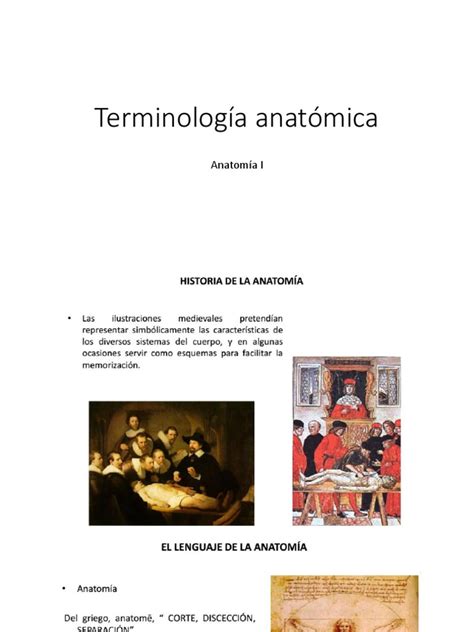 Terminología Anatómica Pdf