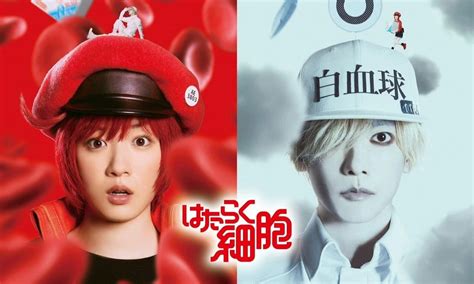 重現英勇白血球與路痴紅血球的工作日常：人氣漫畫《工作細胞》將推出真人版電影，豪華卡司陸續公開 Every Little D