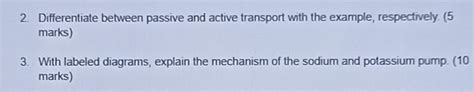 Solved 2 Differentiate Between Passive And Active Transport Chegg