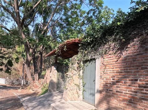Cabaña En Medio Del Campo Foto Premium