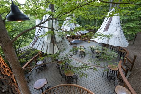 treehouse cafe — blueberry treehouse farm