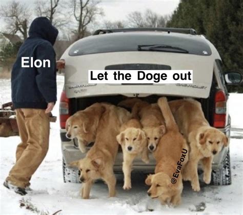 A Person Who Let Dogs Out Is It Mean