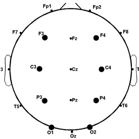 5 Arrangement Of The Electrodes Large Circles Illustrate The Utilized