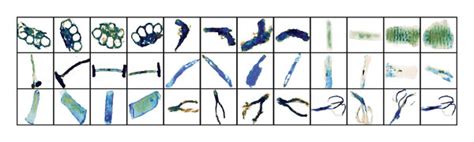 Some X Ray Pseudocolor Images Generated By Different Models A The