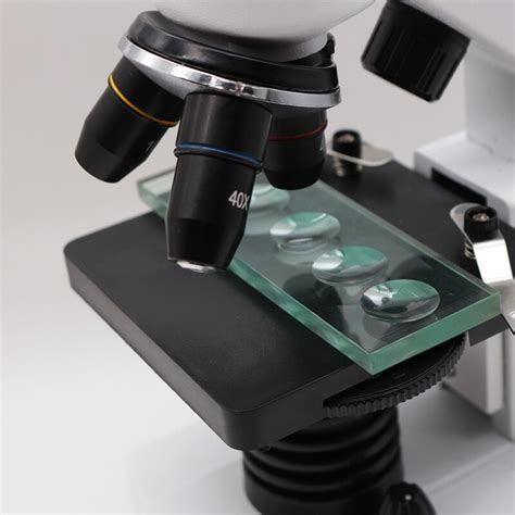 1 Piece Glass Biological Microscope Slide 5mm Thic Grandado